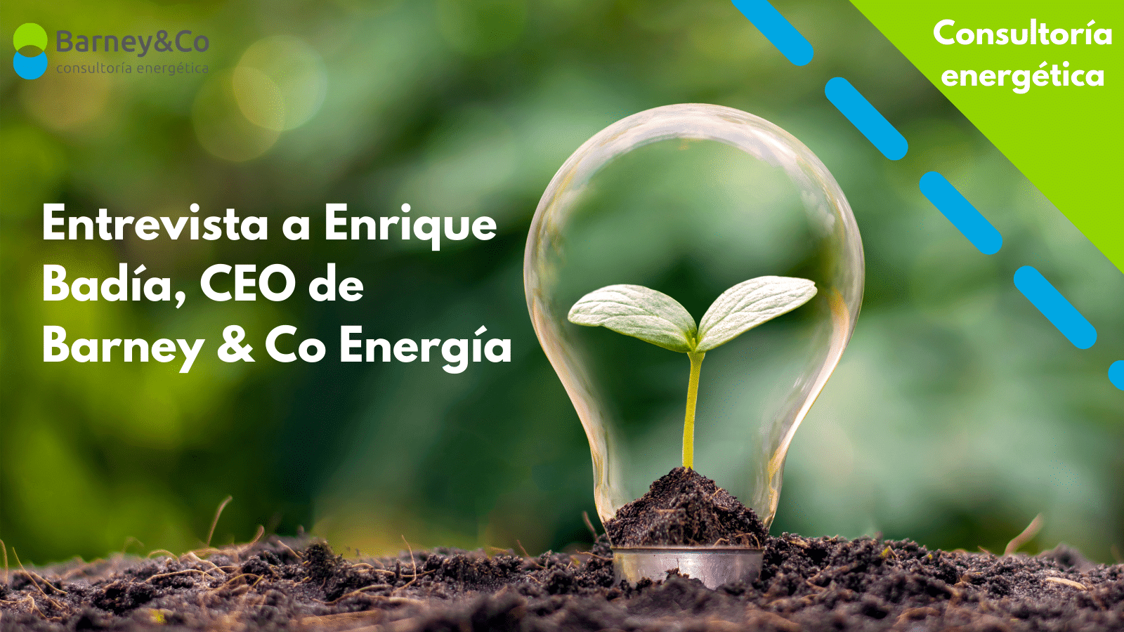 “En Barney & Co damos soluciones 360º en las que tenemos en cuenta la ...